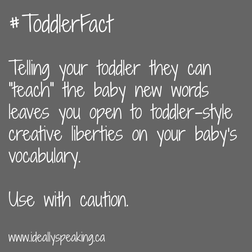 Talking With My Toddler 21 Teaching The Baby New Words Ideally Talking With My Toddler 21 Teaching The Baby New Words Ideally